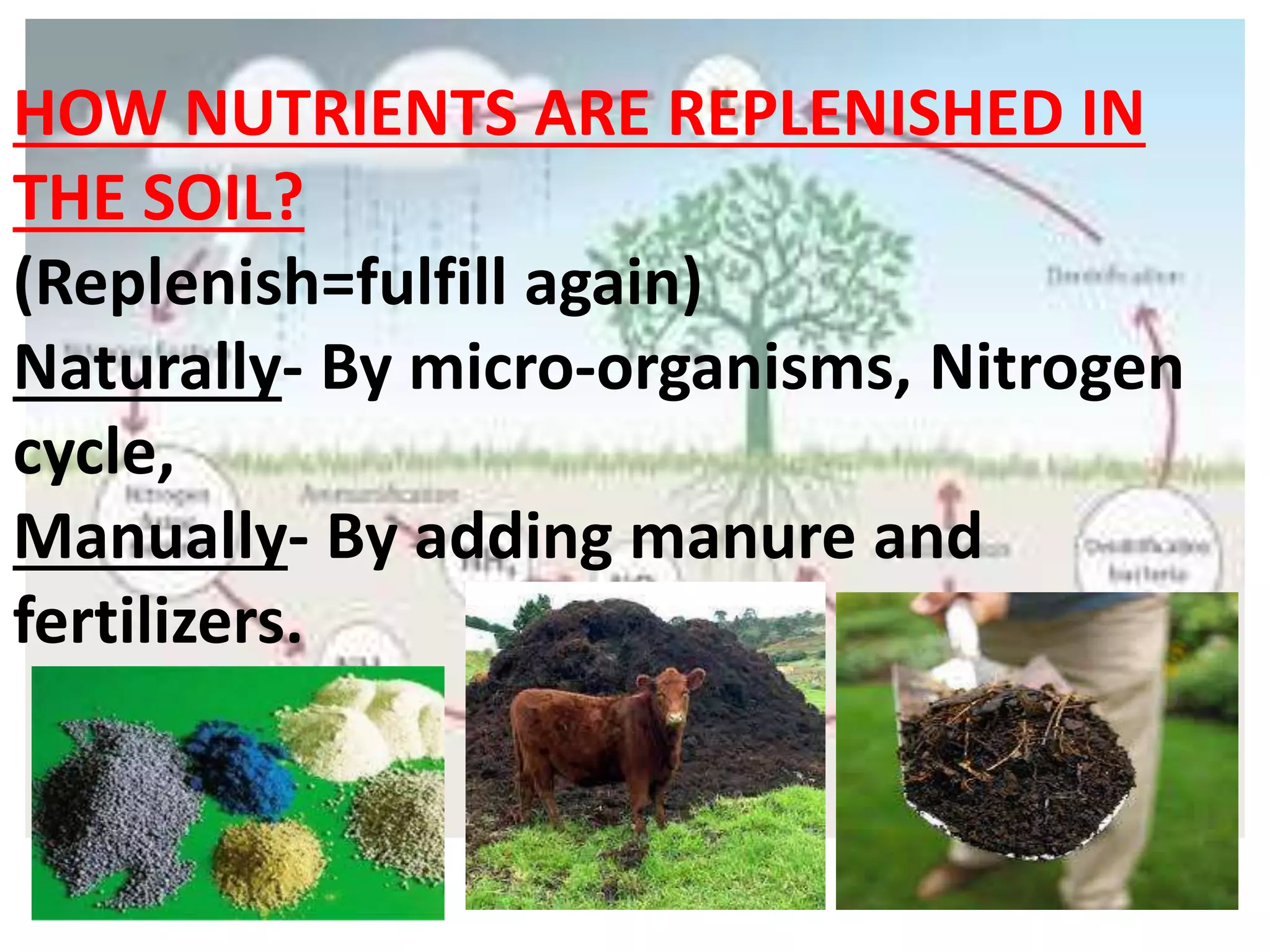 Class -7 Science Chapter-1 nutrition in plants, | PPTX