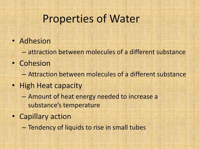 Ch. 2.2 properties of water | PPTX