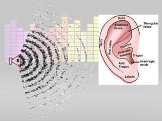 Ch.12.less.2.what are the properties of sound [autosaved] [recovered ...