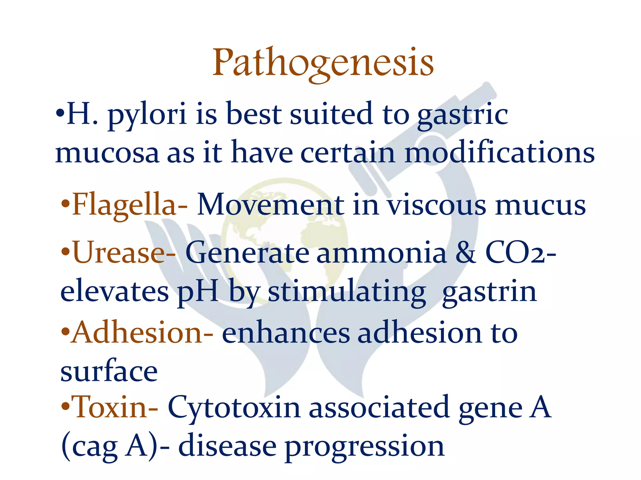 Chronic Gastritis Pathology | PPTX