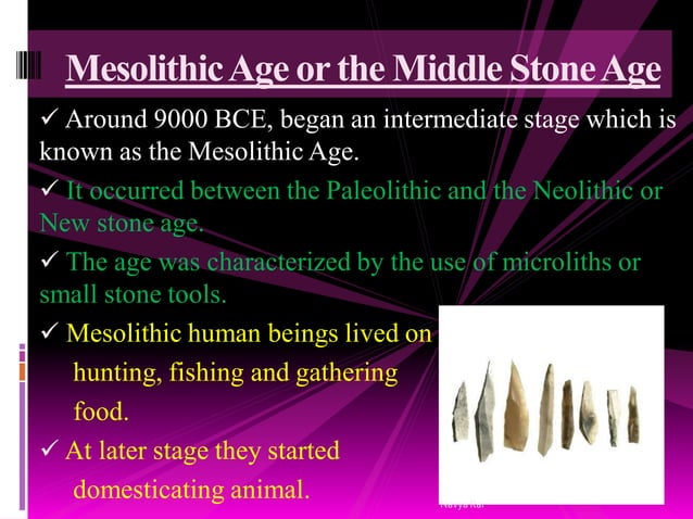 6th std Social Science - History Ch.2. The Earliest Societies | PDF ...