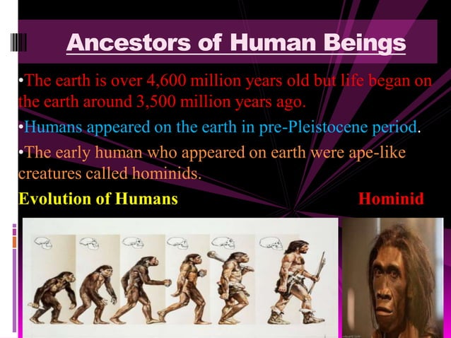 6th std Social Science - History Ch.2. The Earliest Societies | PDF ...