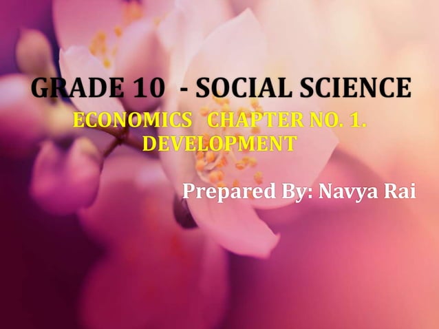 Grade 10 Economics Ch. 1 Development | PDF