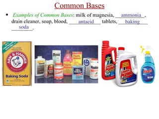 Common Household Bases
