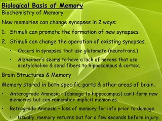 Ch. 6 memory | PPT