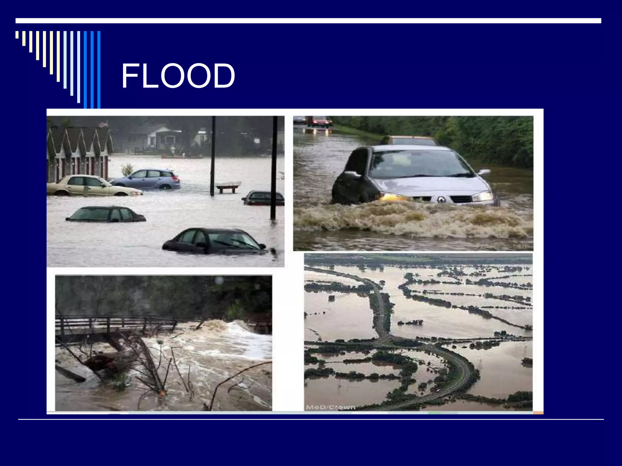 plants and climate relationship | PPT