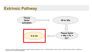 Hemostasis and Coagulation cascade | PPTX