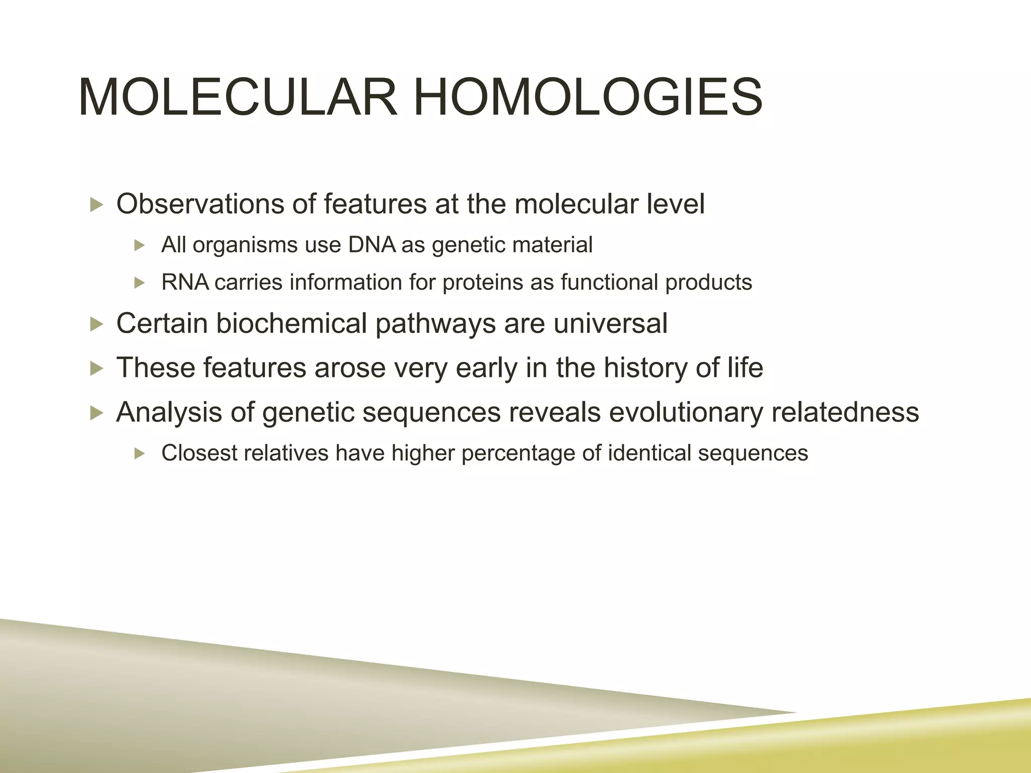 Ch. 23.2 Evolutionary Changes | PPT