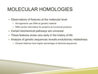 Ch. 23.2 Evolutionary Changes | PPTX