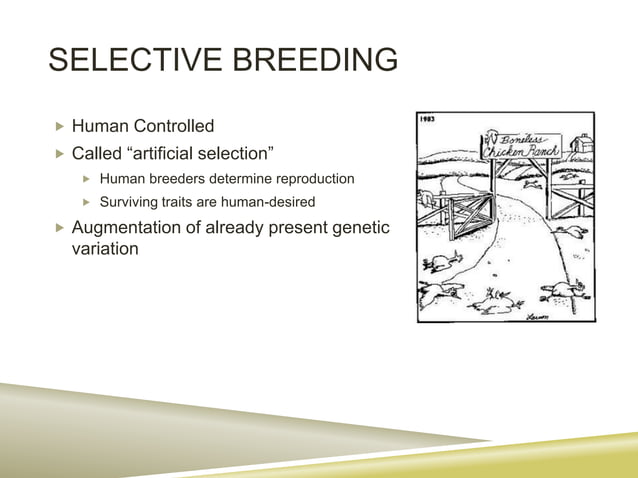Ch. 23.2 Evolutionary Changes | PPTX