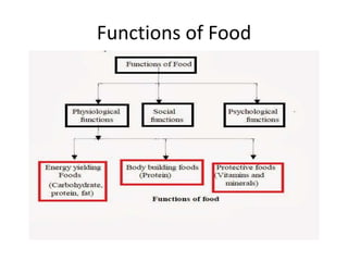 ch.3 food,nutrition ,health &fitnessclass xi Document from Anita ...