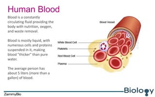 ch._6_blood_and_circulatory_system_part_1_211110_065043.pptx