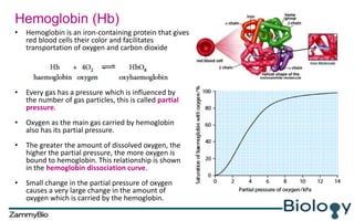 ch._6_blood_and_circulatory_system_part_1_211110_065043.pptx