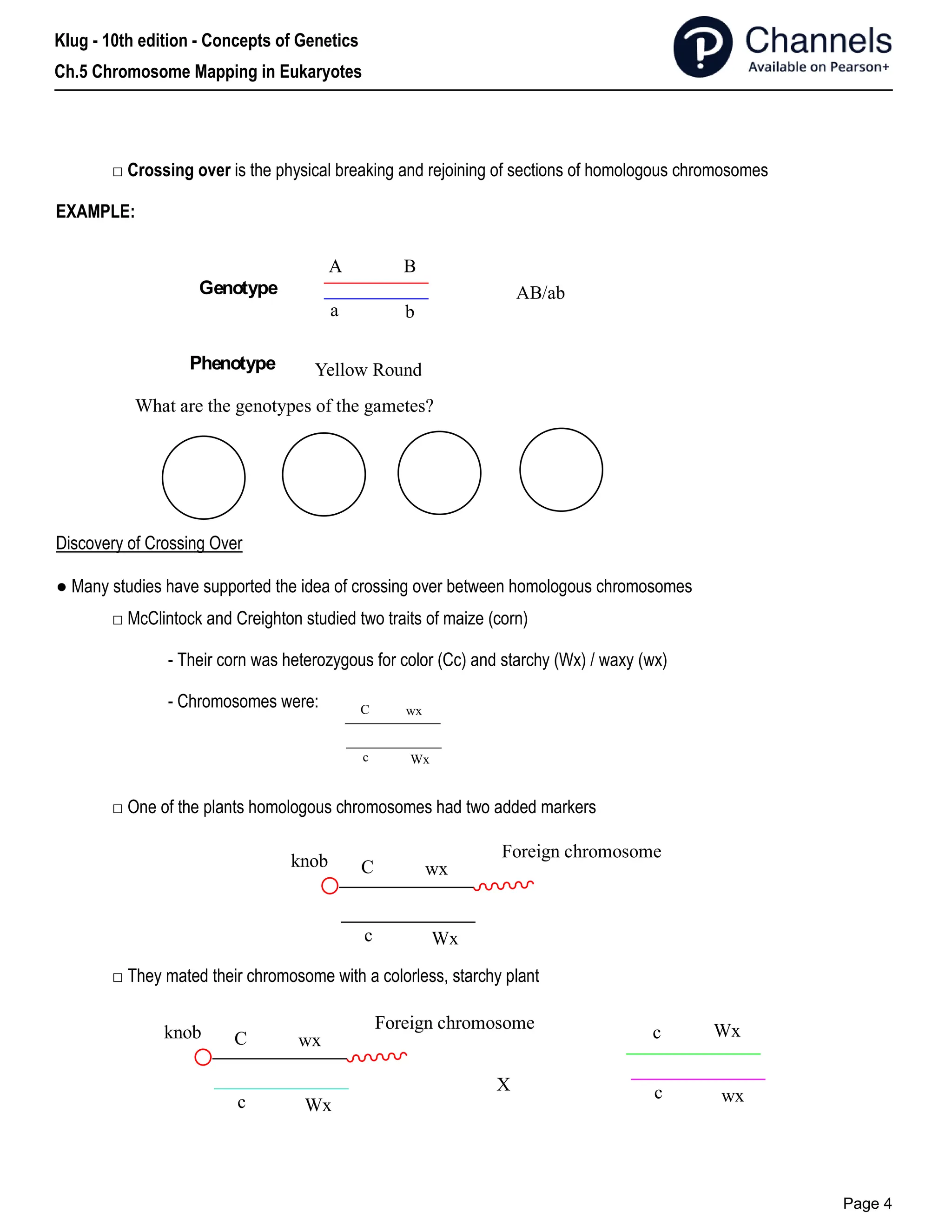 Ch.5 Chromosome Mapping in Eukaryotes.pdf