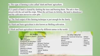 Ch.....Agriculture.pptx class 12 science | PPTX