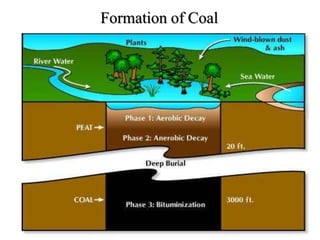 Formation Of Coal Flow Chart