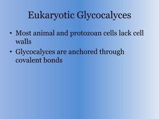 cell parts/organelles and functions.pptx