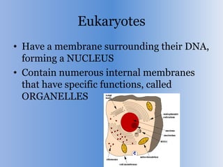 cell parts/organelles and functions.pptx