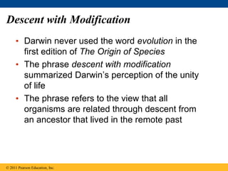 Chapter 22 Campbell Biology Revolusi Darwinian | PPT
