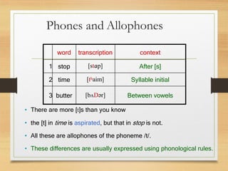 Ch. 4. The sound patterns of language.pdf