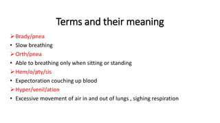 cabdicaisisiyyhhhhhhhffhghhjlhgjvvfgjfvnbvjhgvjhfhjghnhvhkv | PPT