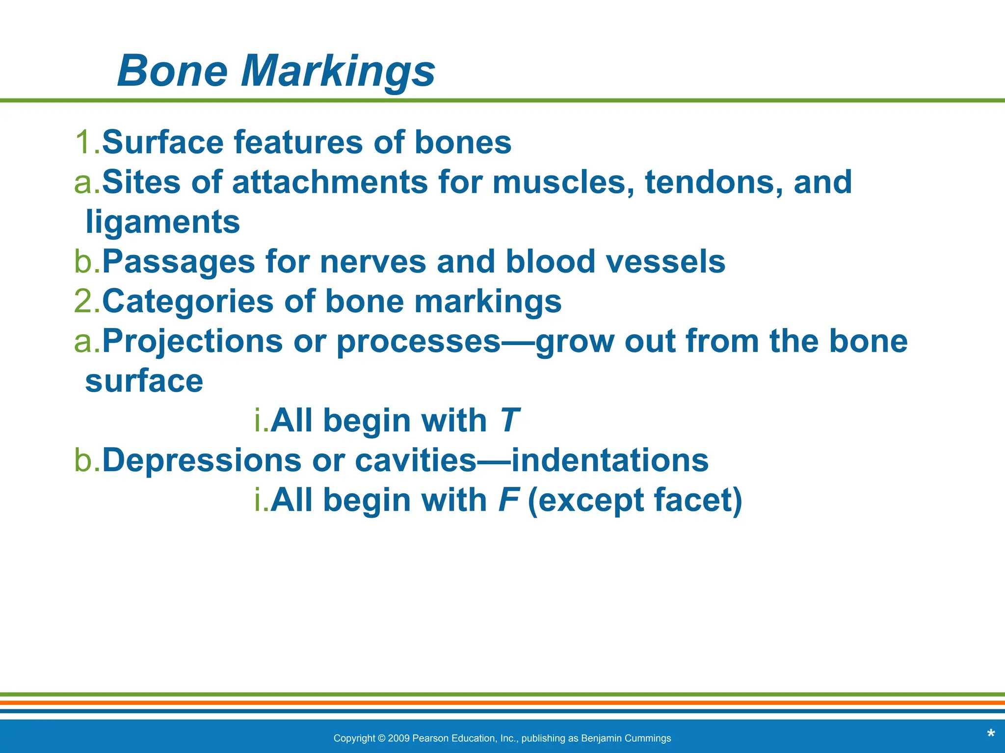 Ch. 5 Lecture - Skeletal System (marieb).ppt.pdf