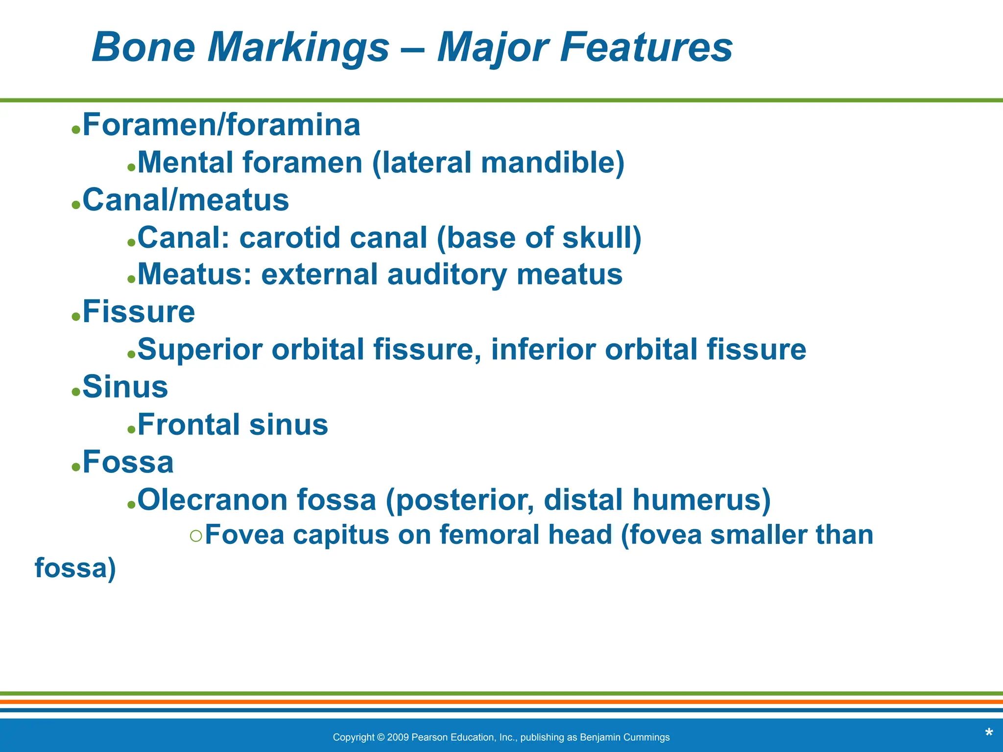 Ch. 5 Lecture - Skeletal System (marieb).ppt.pdf