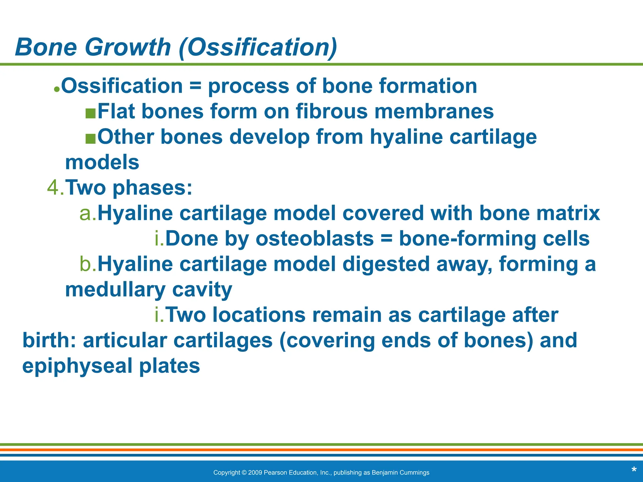 Ch. 5 Lecture - Skeletal System (marieb).ppt.pdf