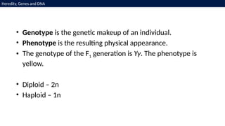 Ch. 3. MOD Fundamentals of Molecular Biology.pptx