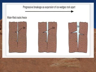 Sediment and Sedimentary rock,Significance of sedimentary rocks | PPT