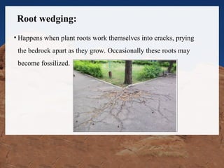 Sediment and Sedimentary rock,Significance of sedimentary rocks | PPT