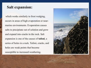 Sediment and Sedimentary rock,Significance of sedimentary rocks | PPT