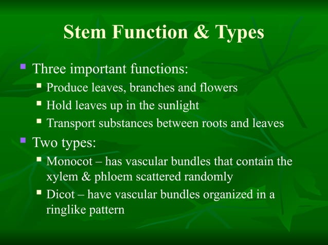 The structure of roots, stems and leaves | PPTX