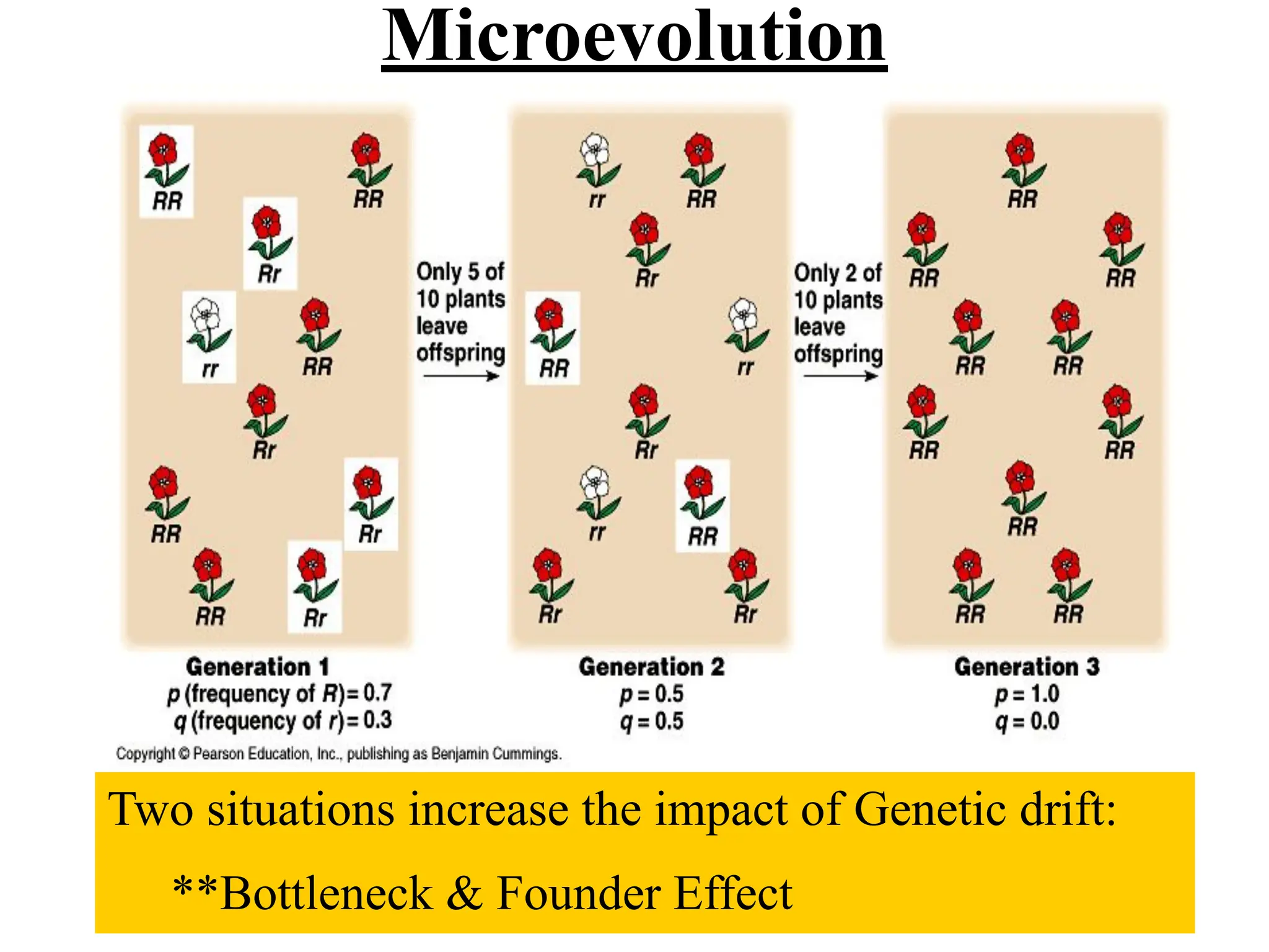 Ch._23_Evolution_in_a_Population(microevolution).ppt.pdf