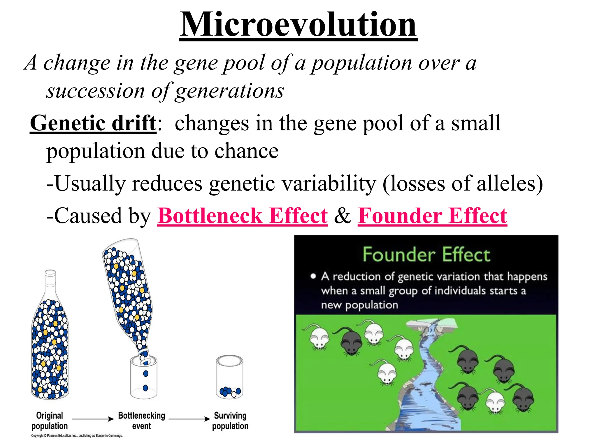 Ch._23_Evolution_in_a_Population(microevolution).ppt.pdf