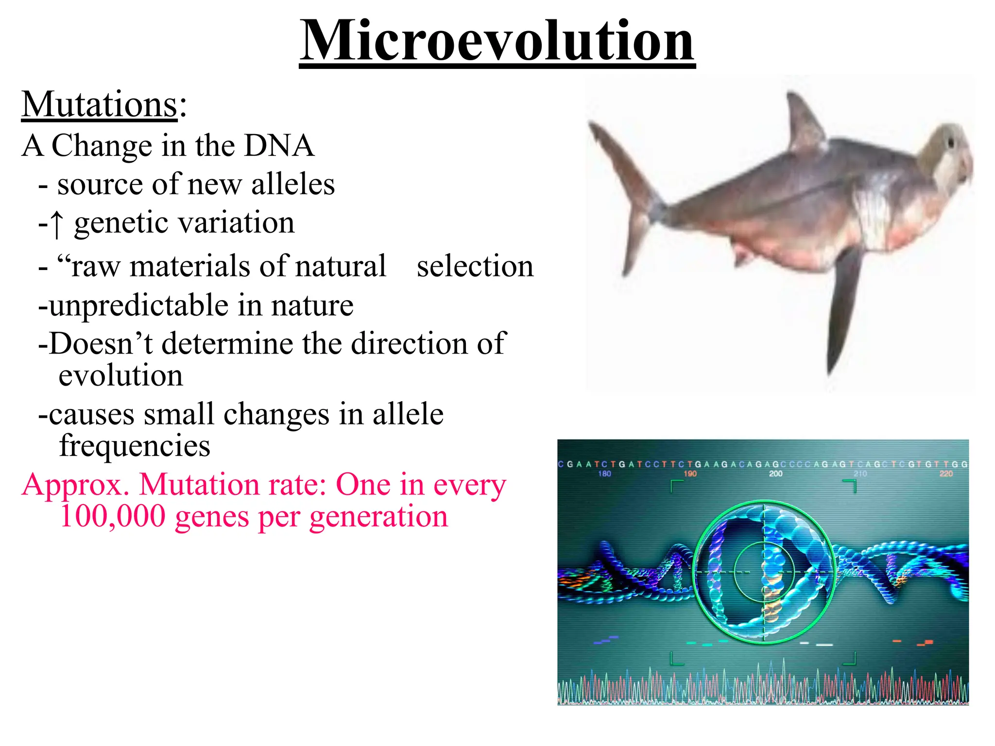 Ch._23_Evolution_in_a_Population(microevolution).ppt.pdf