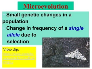 Ch._23_Evolution_in_a_Population(microevolution).ppt.pdf