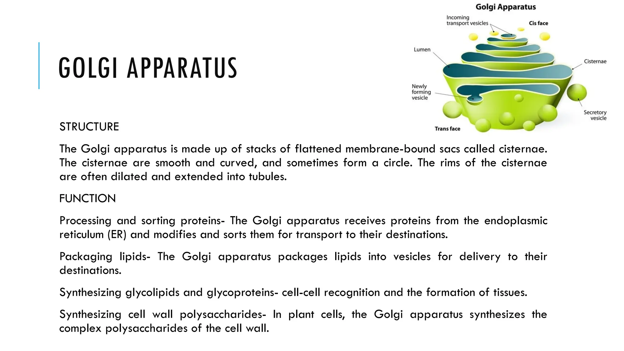 Ch-2_Cell and its components- Pharm D_Pharmacy | PPTX