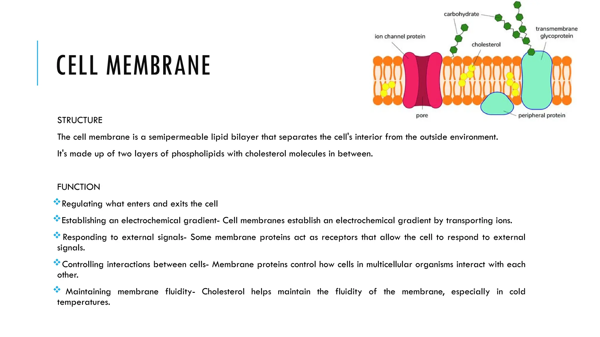 Ch-2_Cell and its components- Pharm D_Pharmacy | PPTX