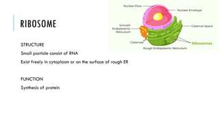Ch-2_Cell and its components- Pharm D_Pharmacy | PPTX