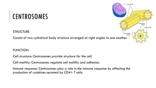 Ch-2_Cell and its components- Pharm D_Pharmacy | PPTX