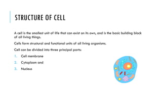 Ch-2_Cell and its components- Pharm D_Pharmacy | PPTX