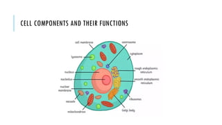Ch-2_Cell and its components- Pharm D_Pharmacy | PPTX