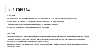 Ch-2_Cell and its components- Pharm D_Pharmacy | PPTX