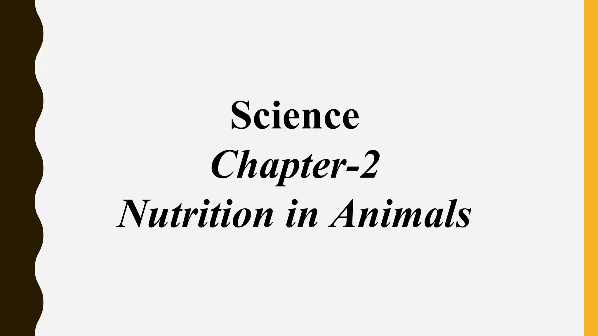 Nutrition in Animals Class 7 Ch 2 | PPTX