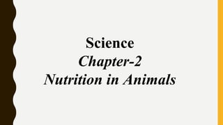 Nutrition in Animals Class 7 Ch 2 | PPTX