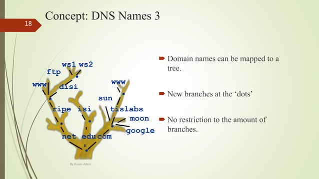 Network and System Administration chapter 2 | PPTX | Web Hosting | Internet