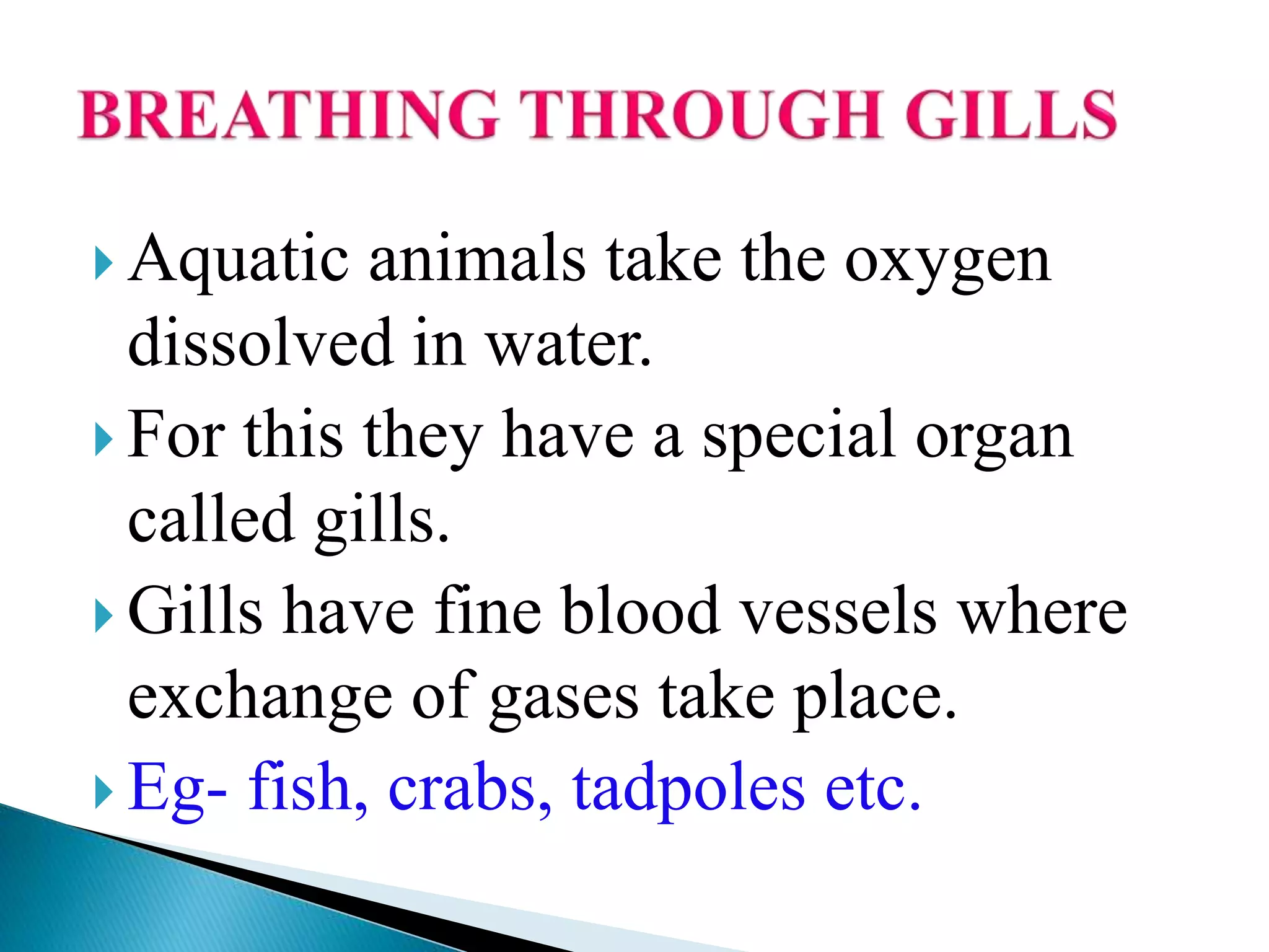 Ch 2 Reproduction in Animals | PPTX | Chemistry | Science