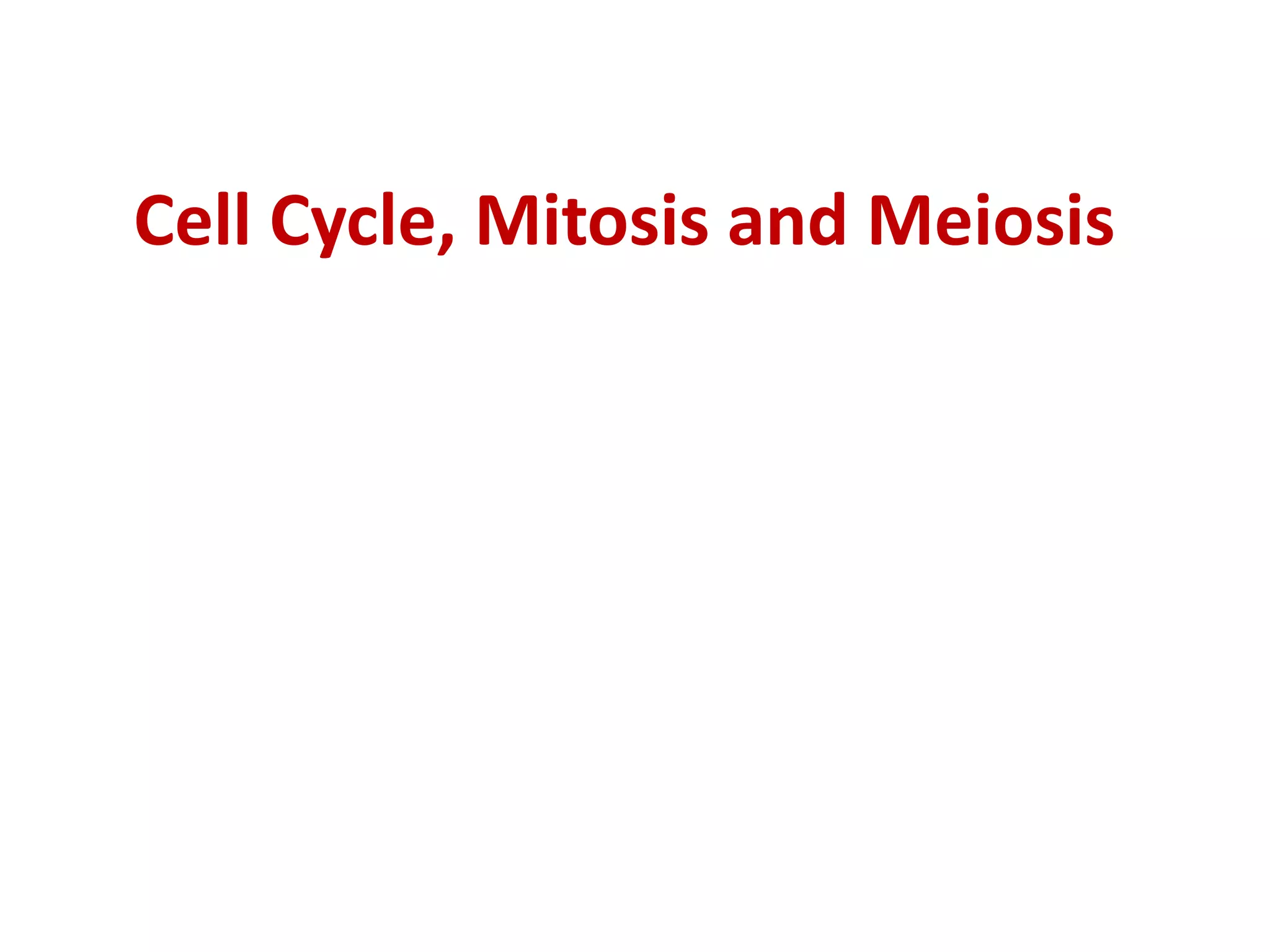 Ch-3-Cell-Division.pptx