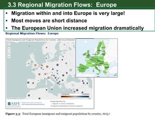 ch-3-ppt-migration. history. geography.pptx